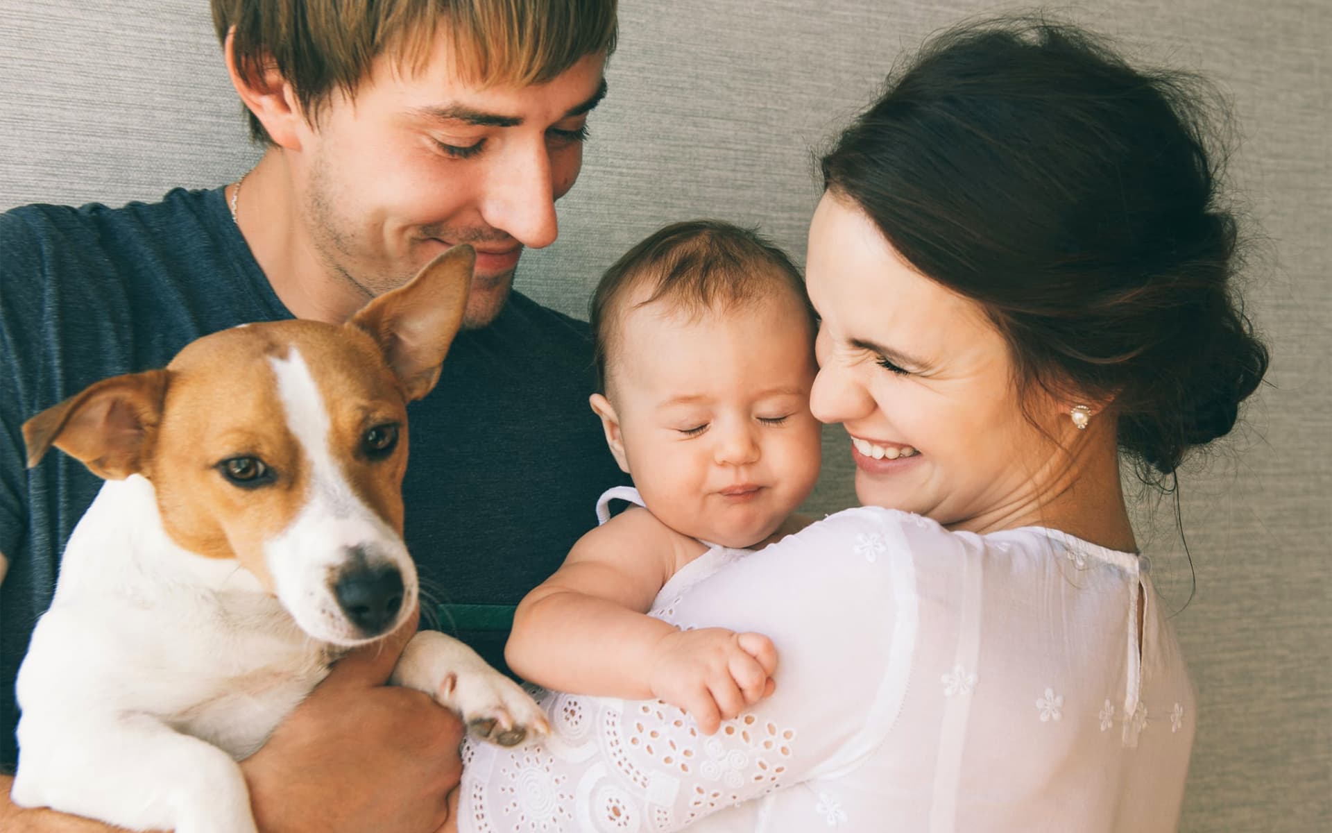 Zylkene - To help calm and relax pets - Zylkene Canada